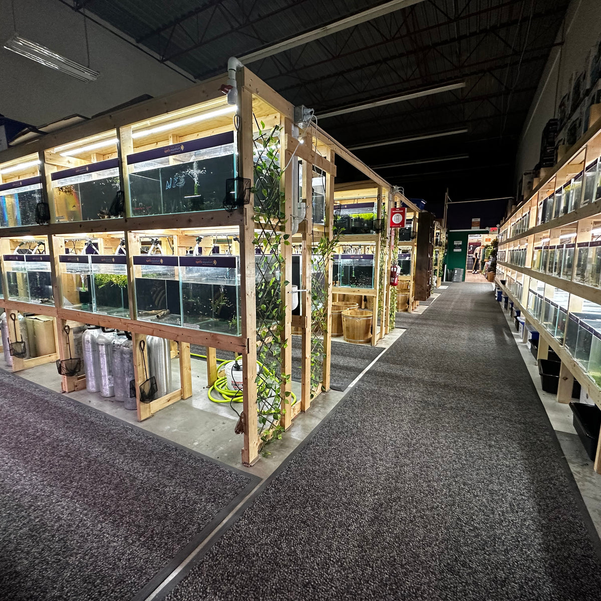 A STEP-BY-STEP GUIDE TO AQUARIUM MAINTENANCE – Your Local Fish Store