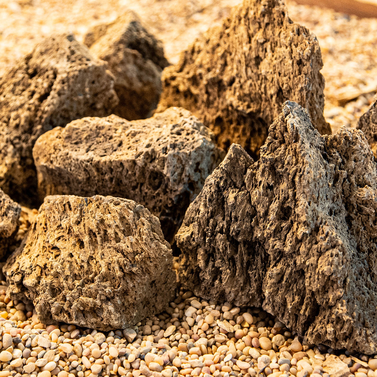 Pimple Stone / Rock per LB – Your Local Fish Store