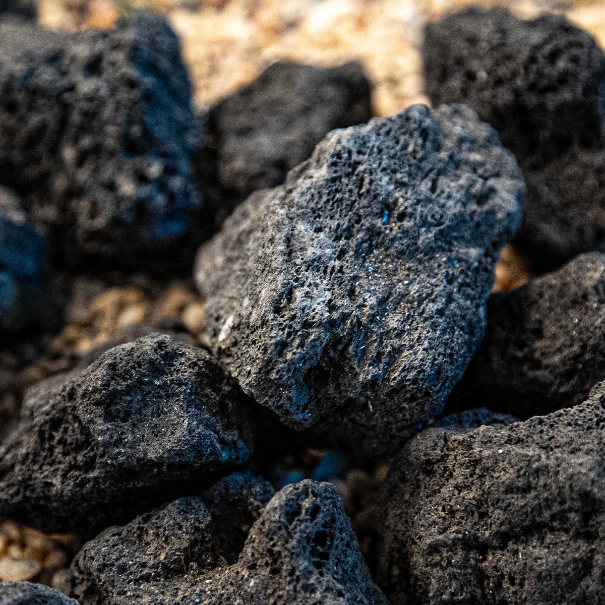 Black Lava Rock per LB (10cm-30cm) – Your Local Fish Store