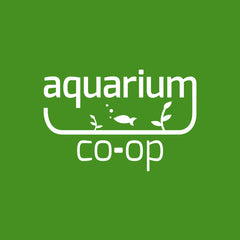 Your Local Fish Store