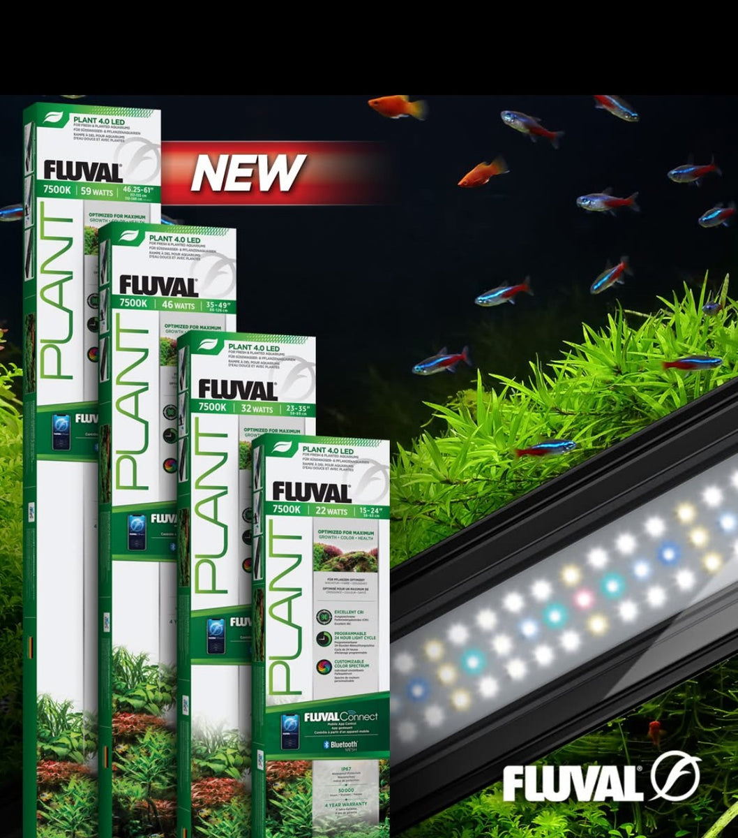 Fluval Plant 4.0 LED for Fresh & Planted Aquariums – Your Local Fish Store