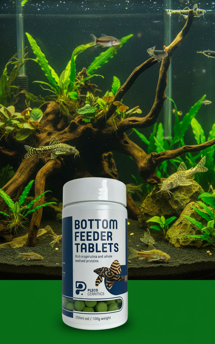 Pleco Ceramics High Protein Bottom Feeder Tablets with Spirulina 100g ...