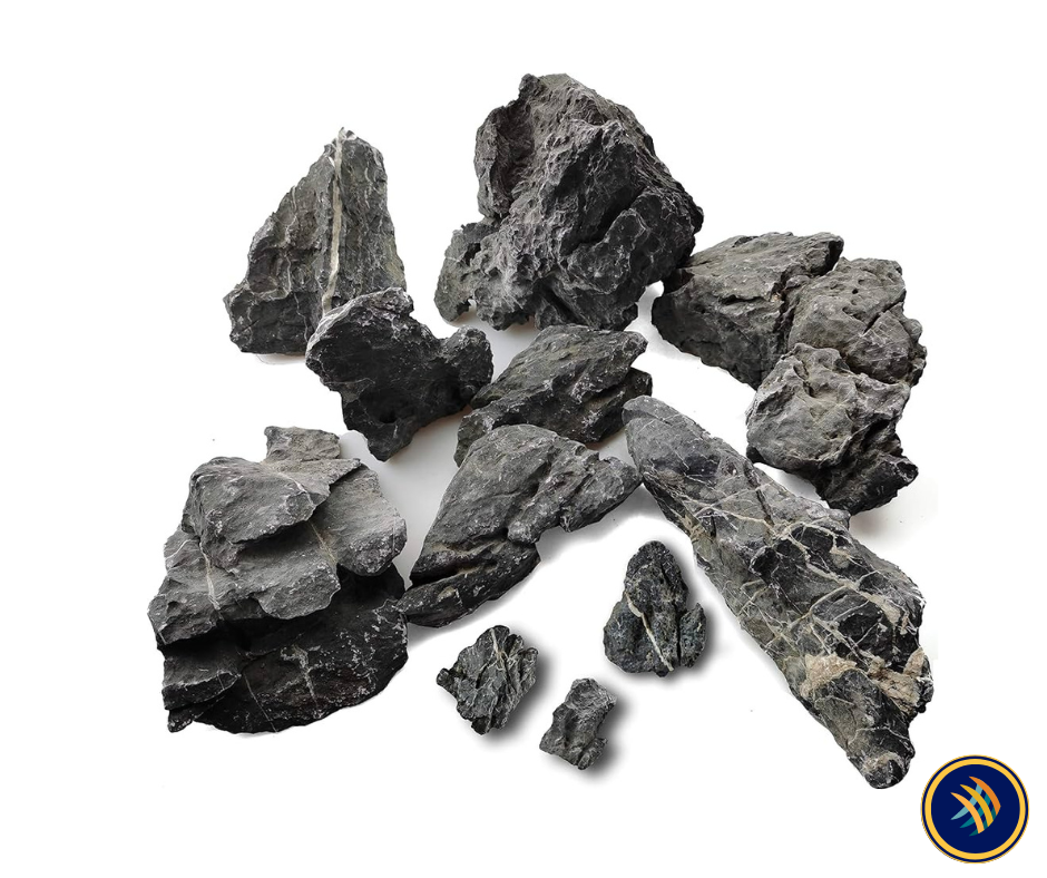 Seiryu Stone per LB (10cm -40cm) – Your Local Fish Store