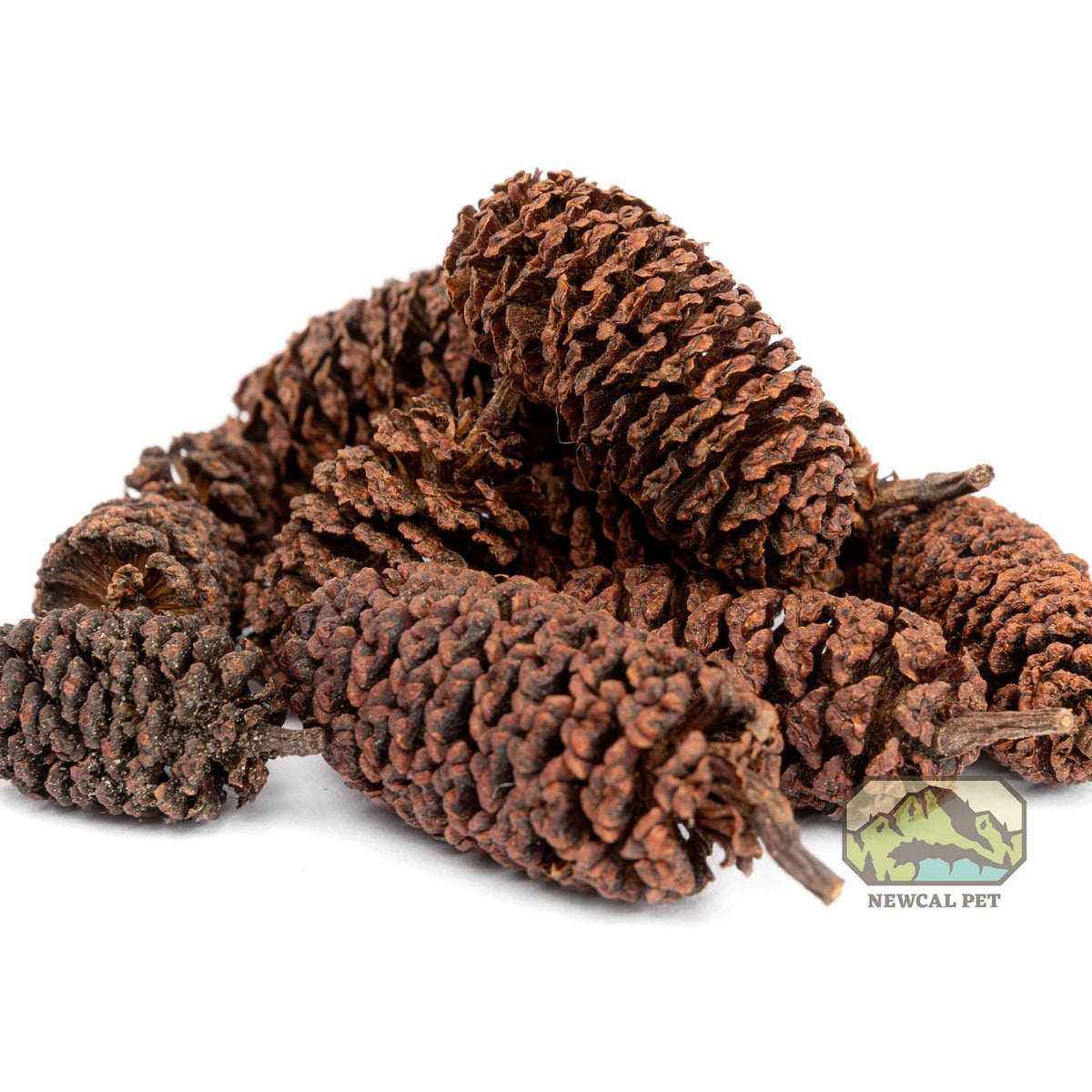 New-Cal Alder Cones 1oz (approx 50 cones) – Your Local Fish Store