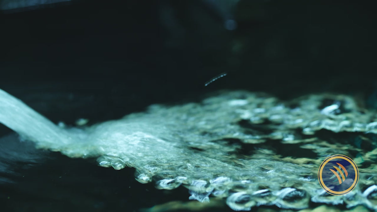 Aquarium Co-Op Easy Flow Sponge Filter Upgrade Kit – Your Local Fish Store